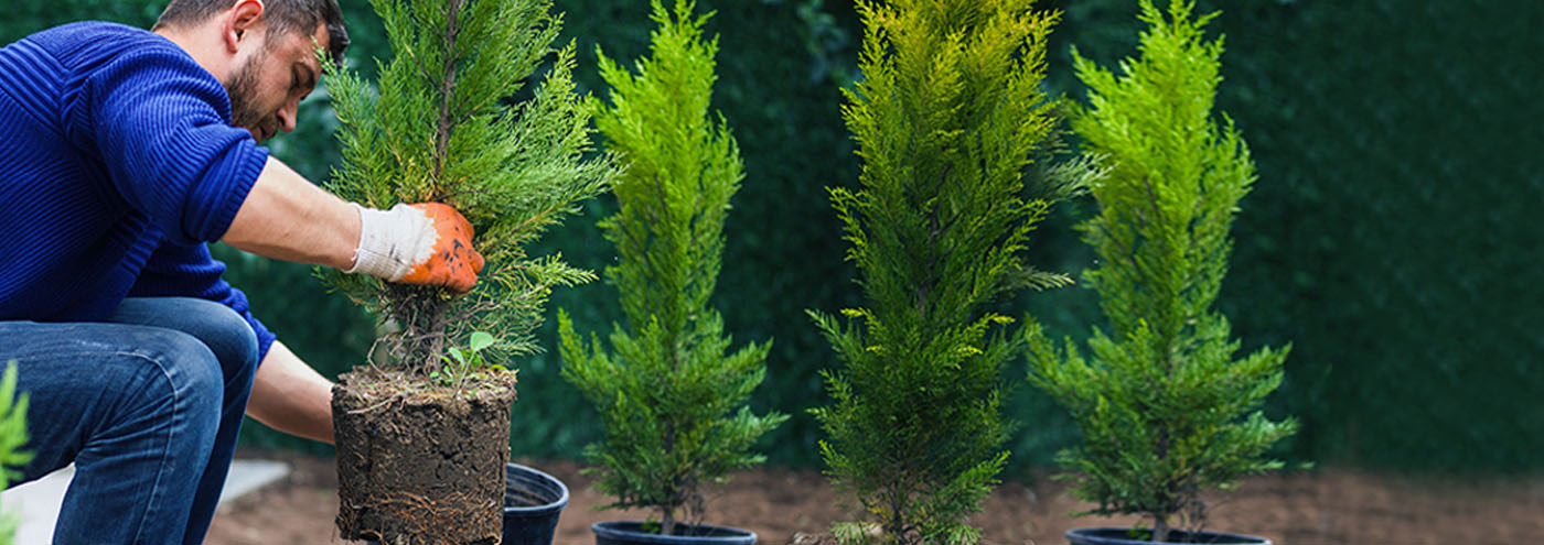 Farmers Insurance: Get a Home, Life & Auto Insurance Quote